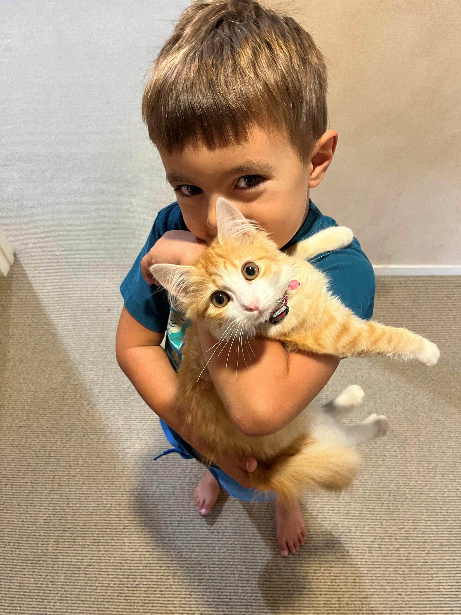 Meet The Vets: Dr Adri & Dr Jennifer from True Vets Ormiston | Ormiston ...